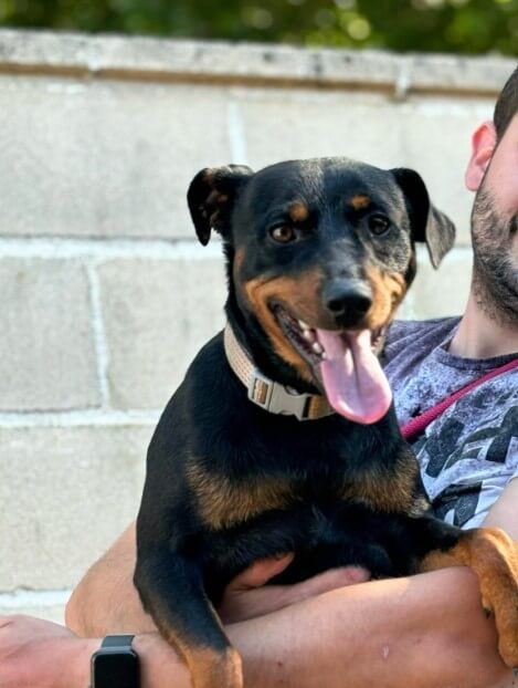 Tritón – lahuelladewonder